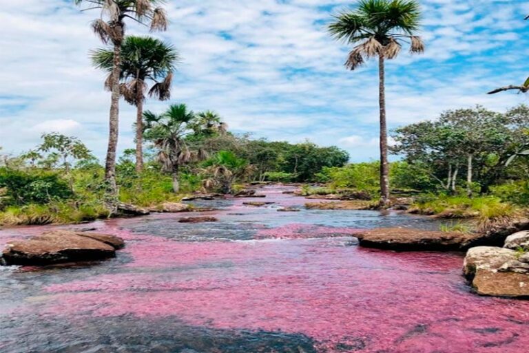 Sede Departamental Guaviare - Comcaja